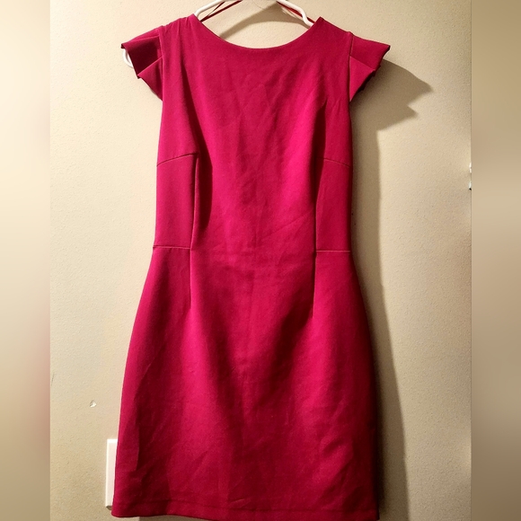 Zara | Dresses | Zara Pink Dress Scallop Cap Sleeves Open Vback With ...